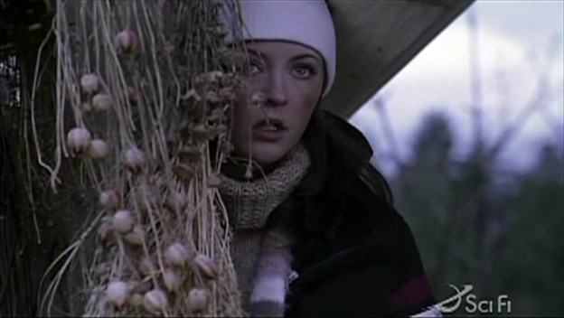 Picture of Ogre (2008)