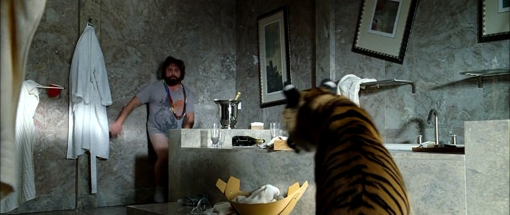 Picture of The Hangover