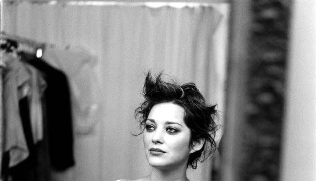 Picture of Marion Cotillard