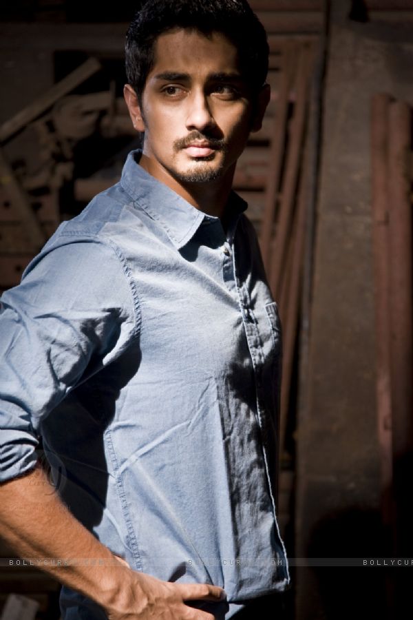 Siddharth image