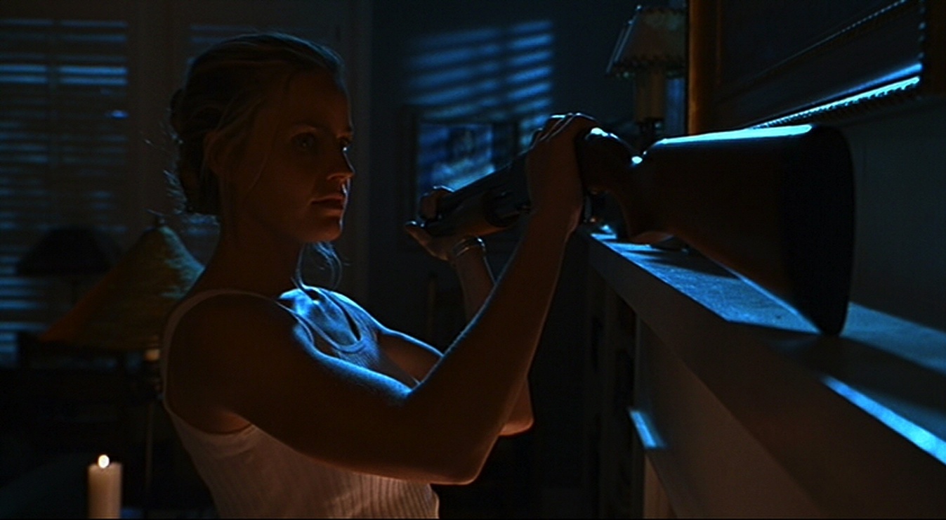 The Trigger Effect (1996) picture