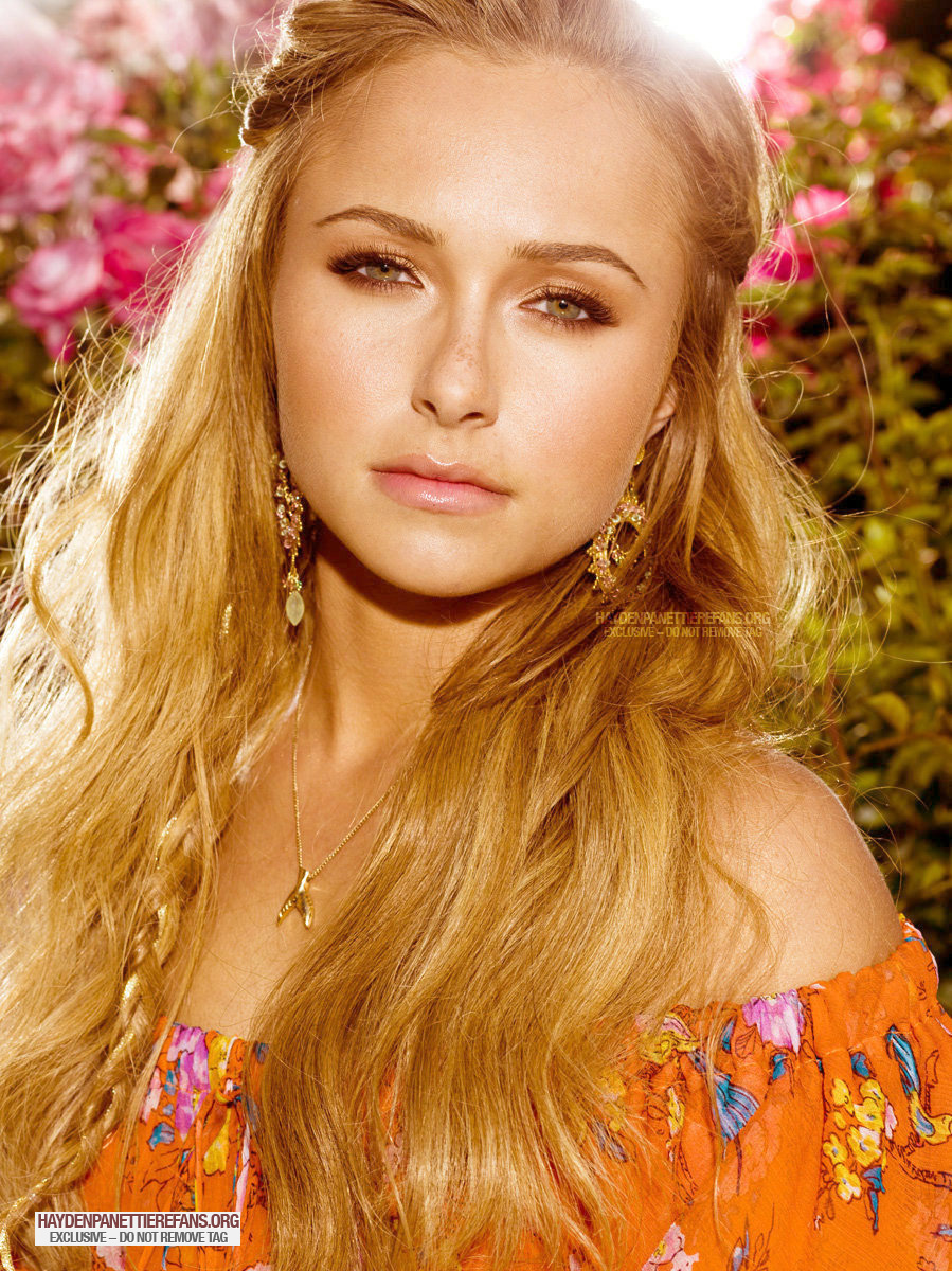 Picture of Hayden Panettiere