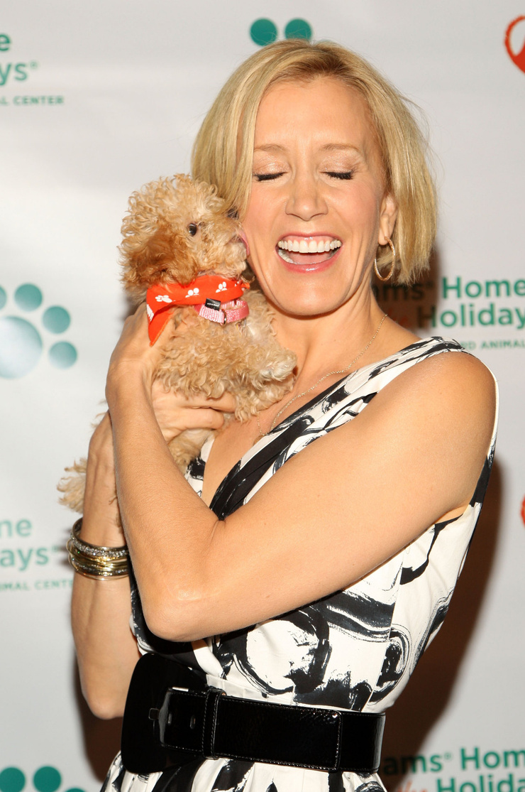 Picture of Felicity Huffman