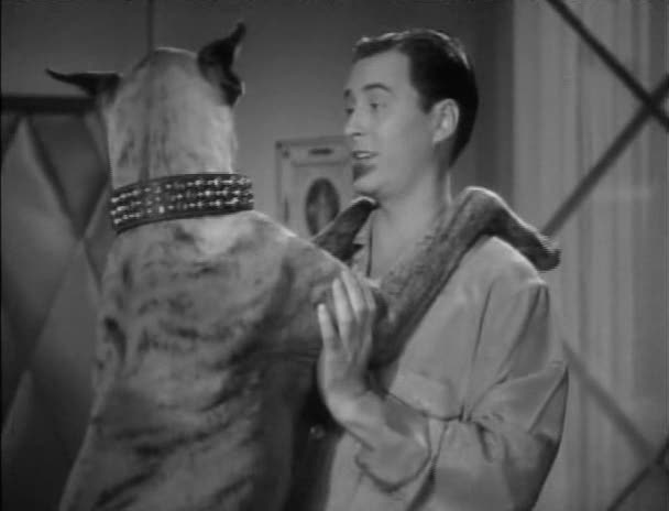 Picture of Turnabout