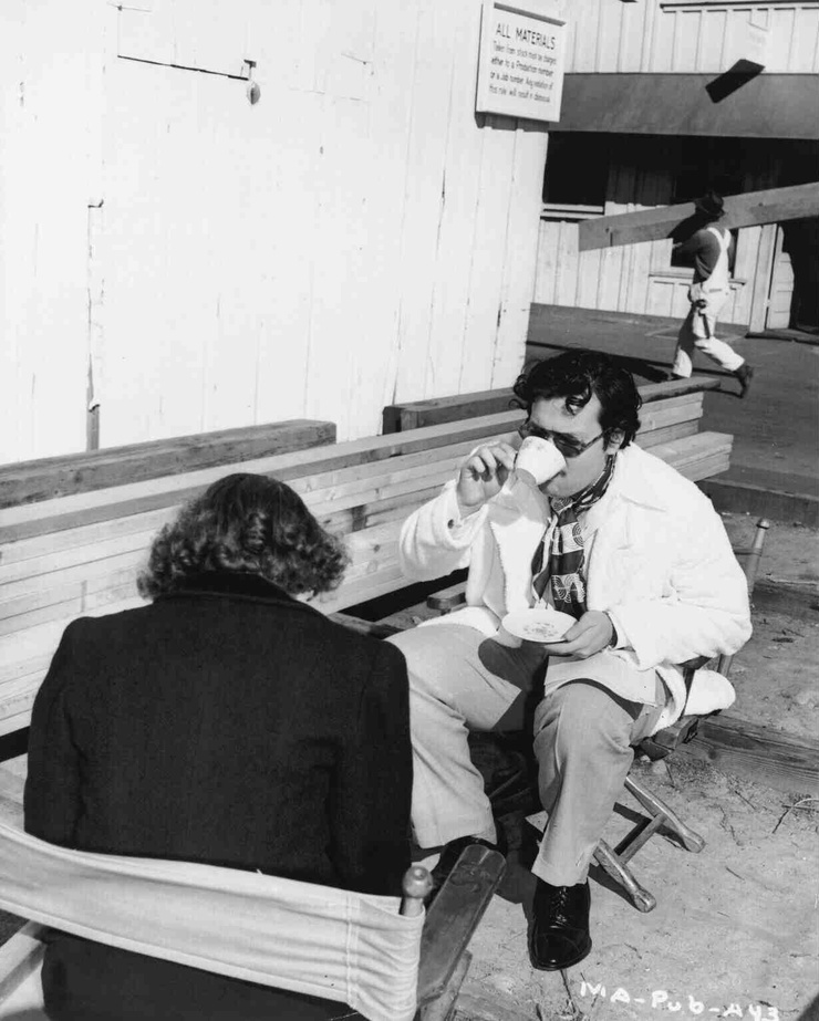 Image of The Magnificent Ambersons