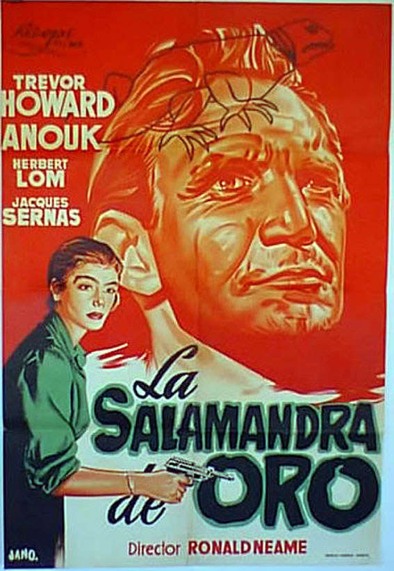 Picture of Golden Salamander