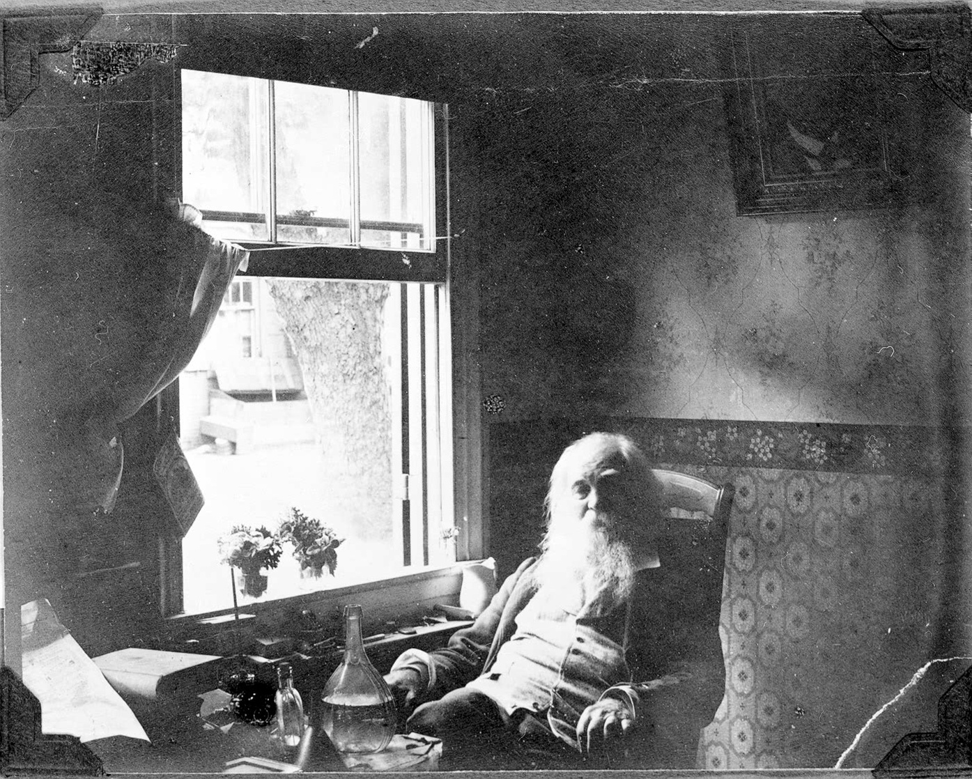 Walt Whitman picture