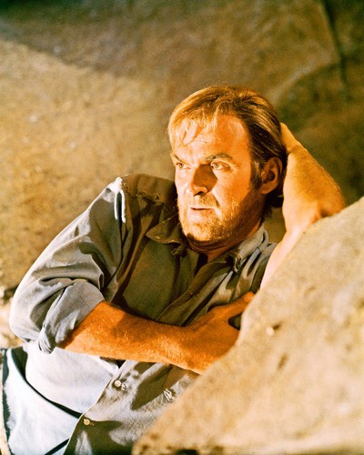 Picture of Stanley Baker