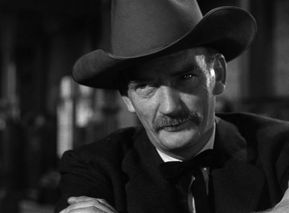 Image of The Gunfighter