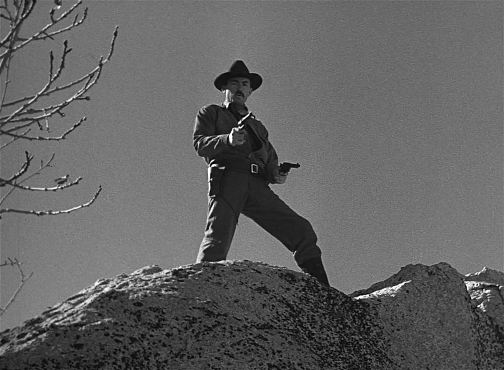 Picture of The Gunfighter