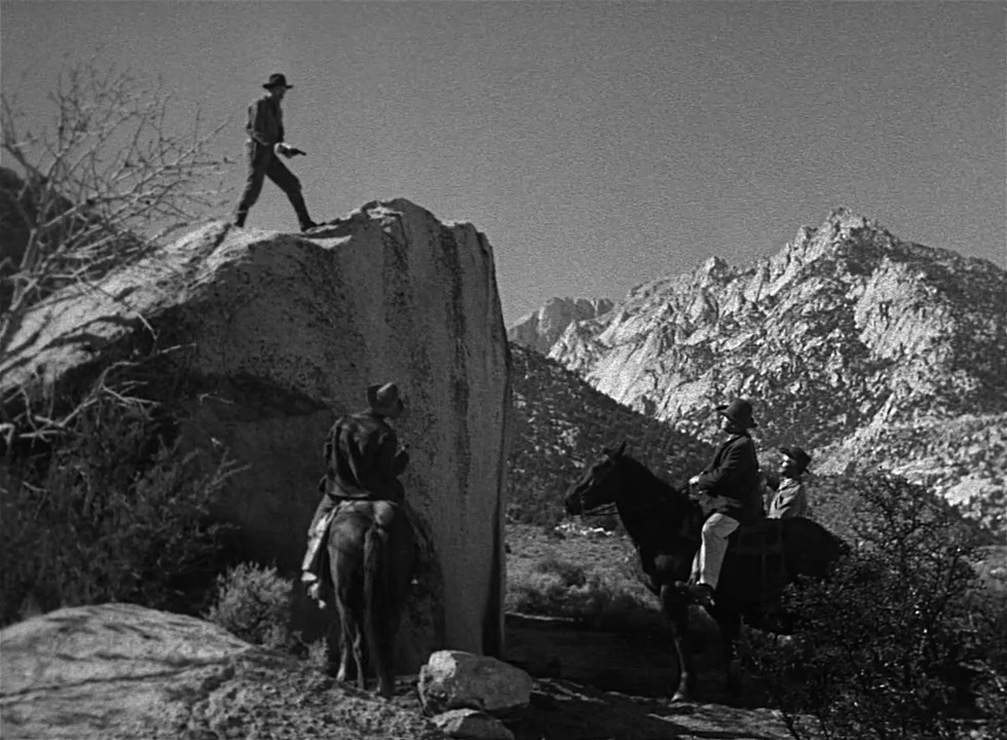 Picture of The Gunfighter