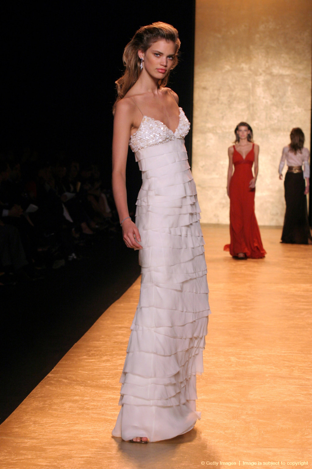 Rianne Ten Haken image