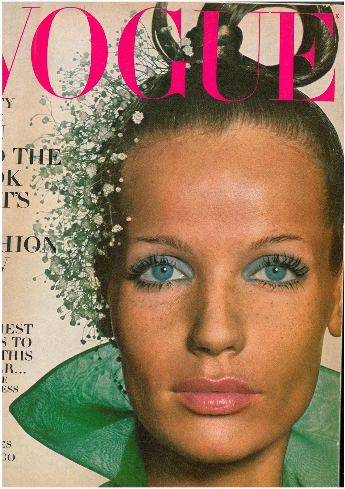 Picture of Veruschka von Lehndorff