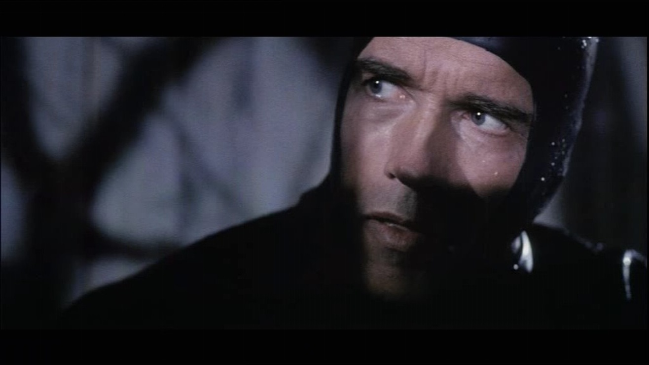 Picture of True Lies