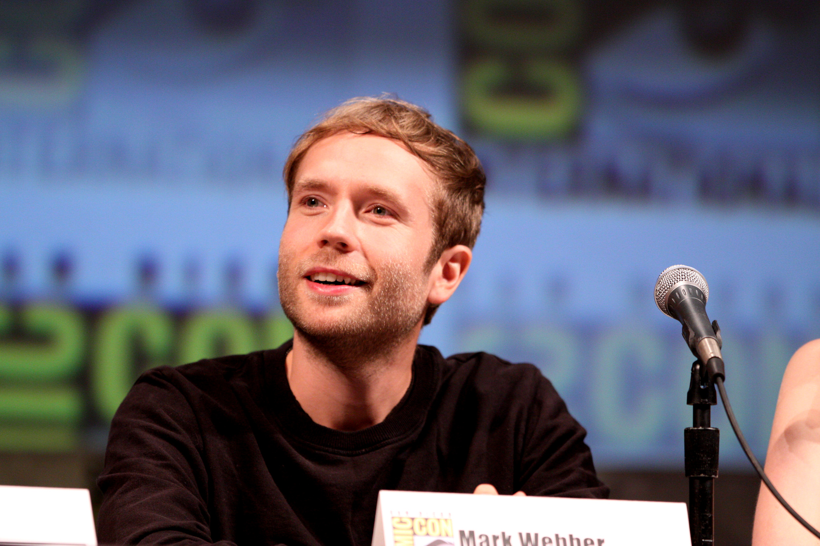 Picture of Mark Webber