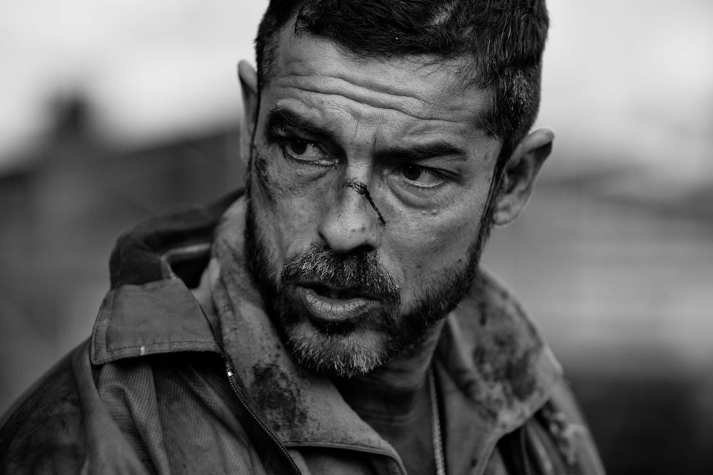 Picture of Alessandro Gassman