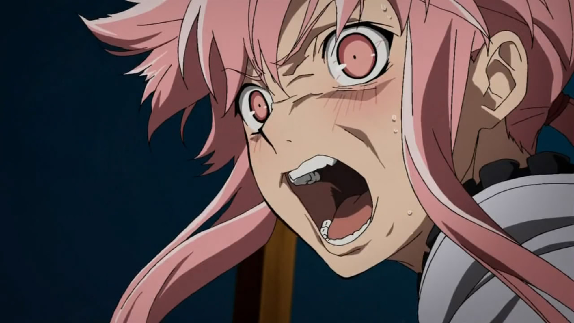 Picture of Future Diary