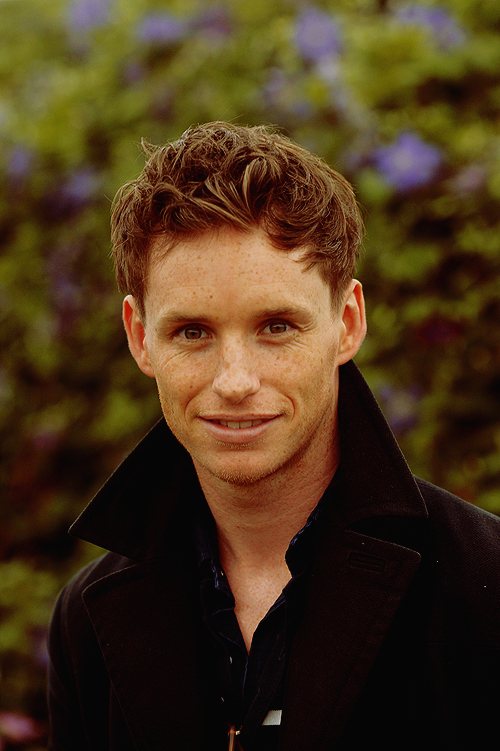 Picture of Eddie Redmayne