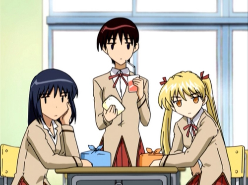 Picture of School Rumble