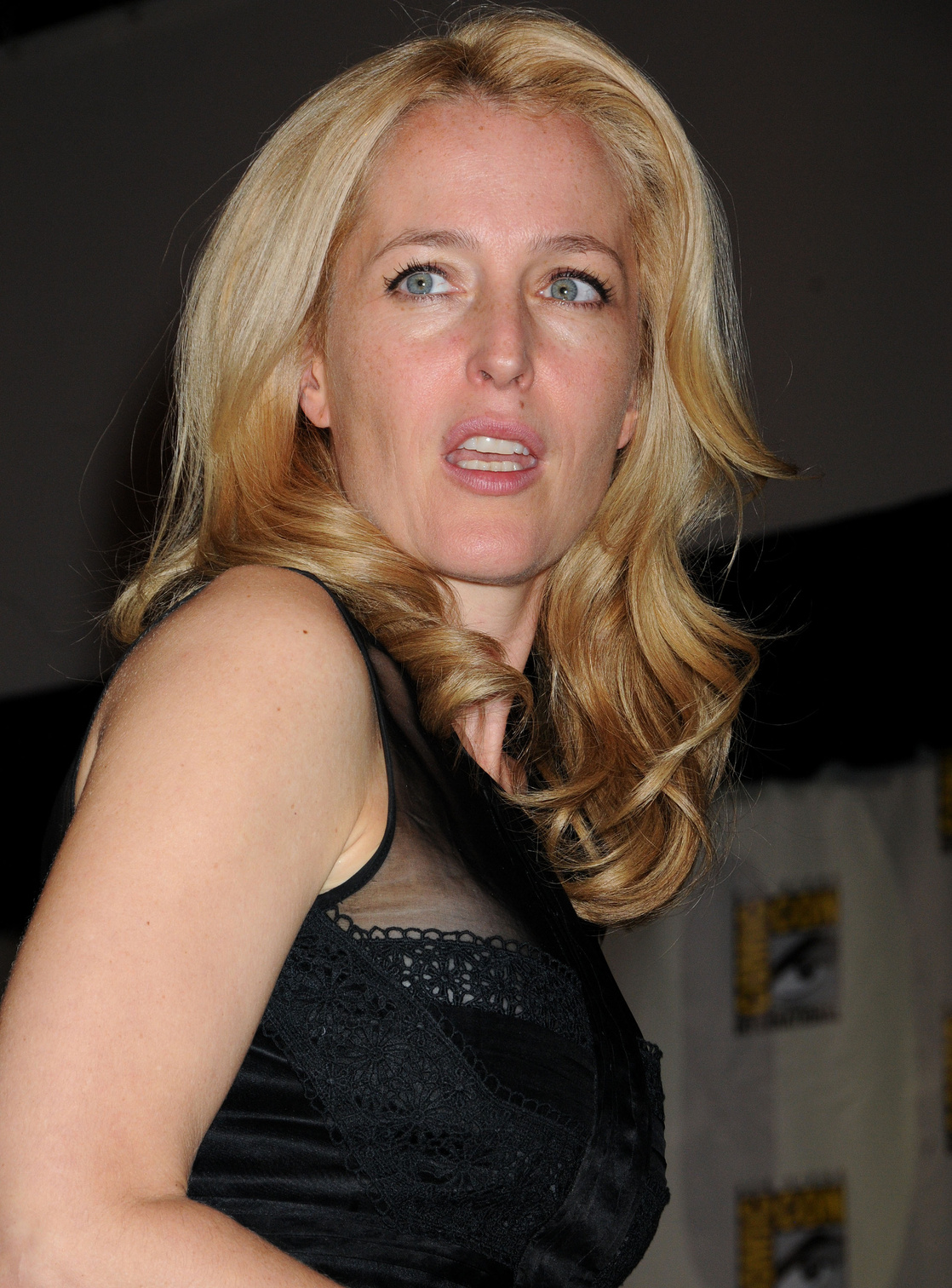 Picture of Gillian Anderson