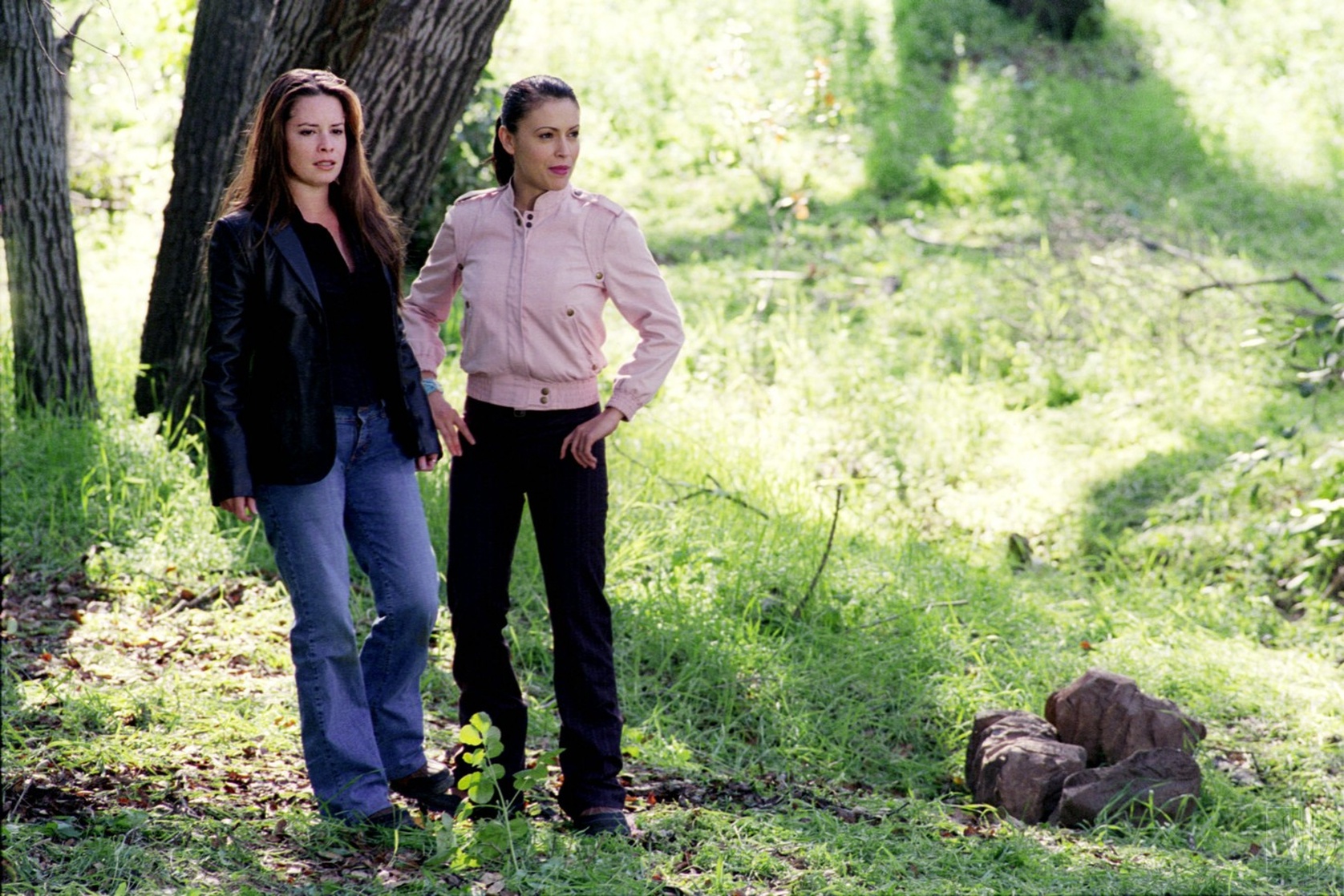 Picture of Charmed