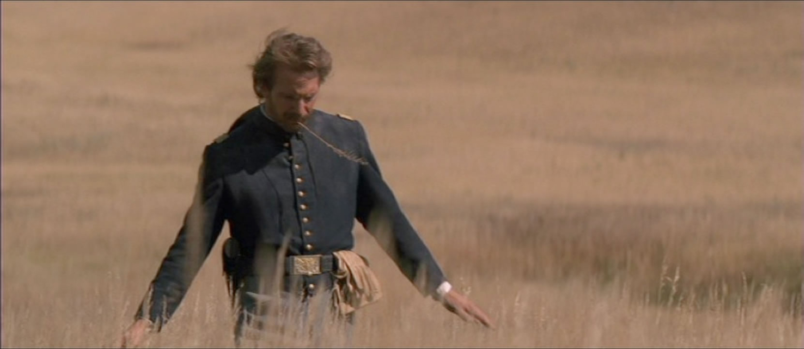 Picture of Dances with Wolves