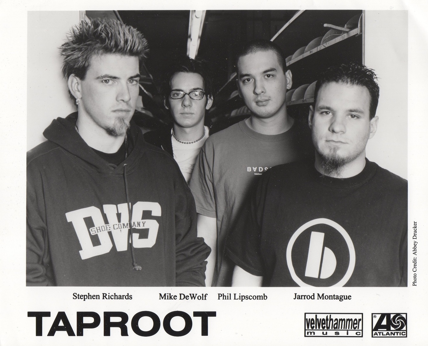 Picture of Taproot