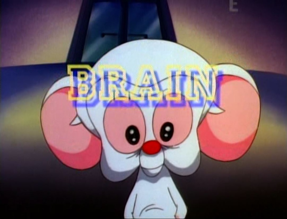 Picture of Pinky and the Brain