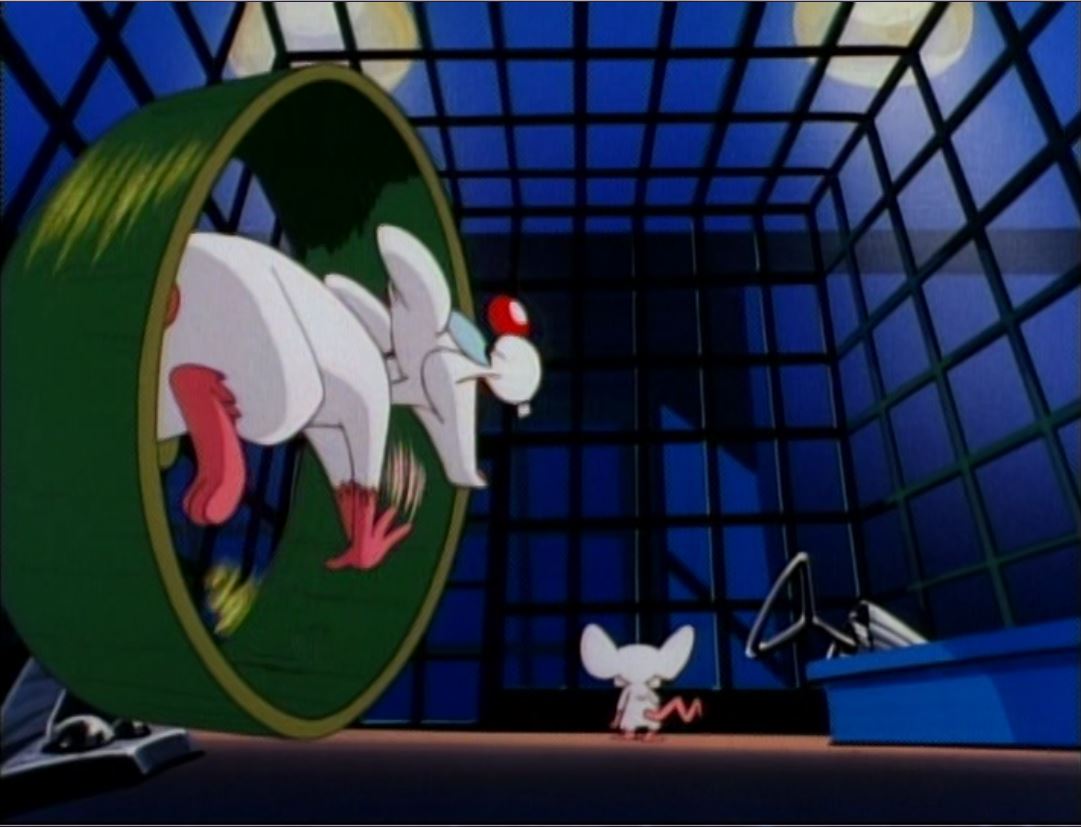 Picture of Pinky and the Brain