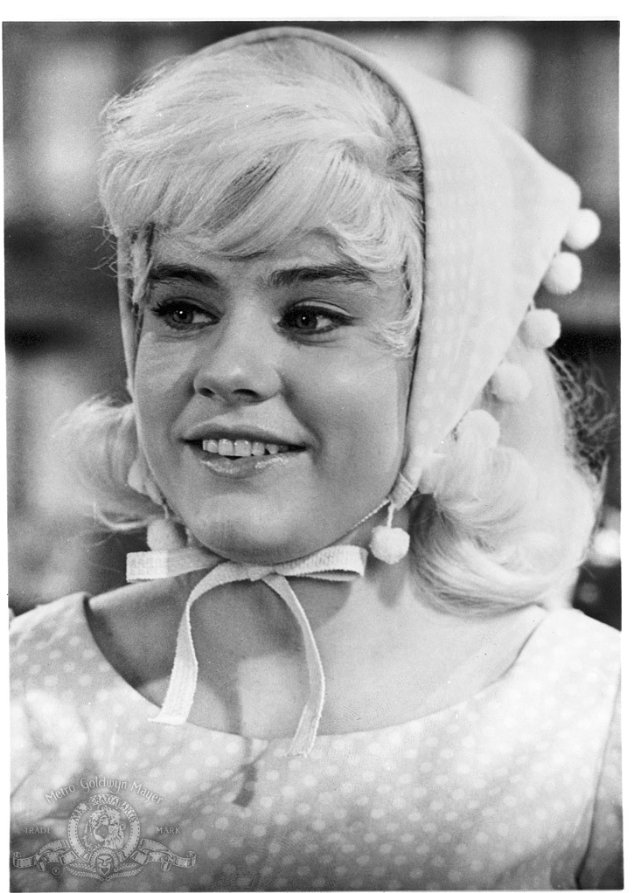 The Patty Duke Show image