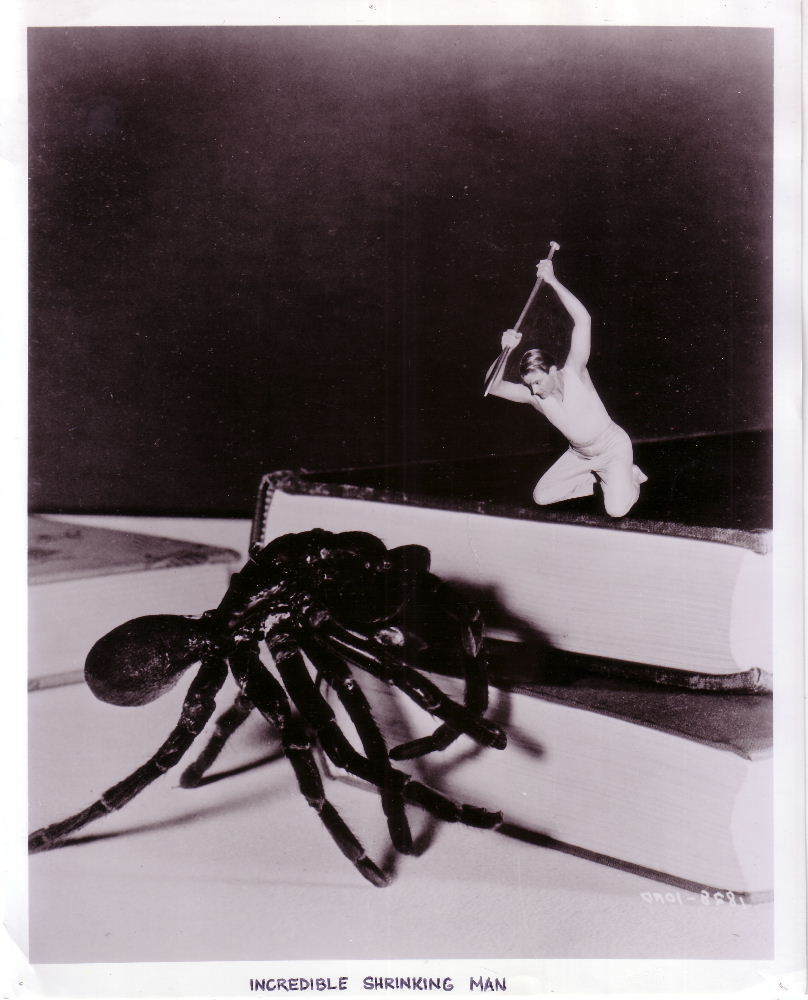 Picture of The Incredible Shrinking Man