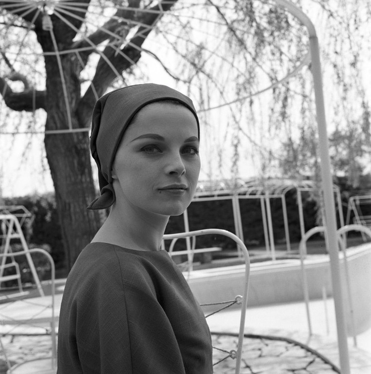 Picture of Virna Lisi