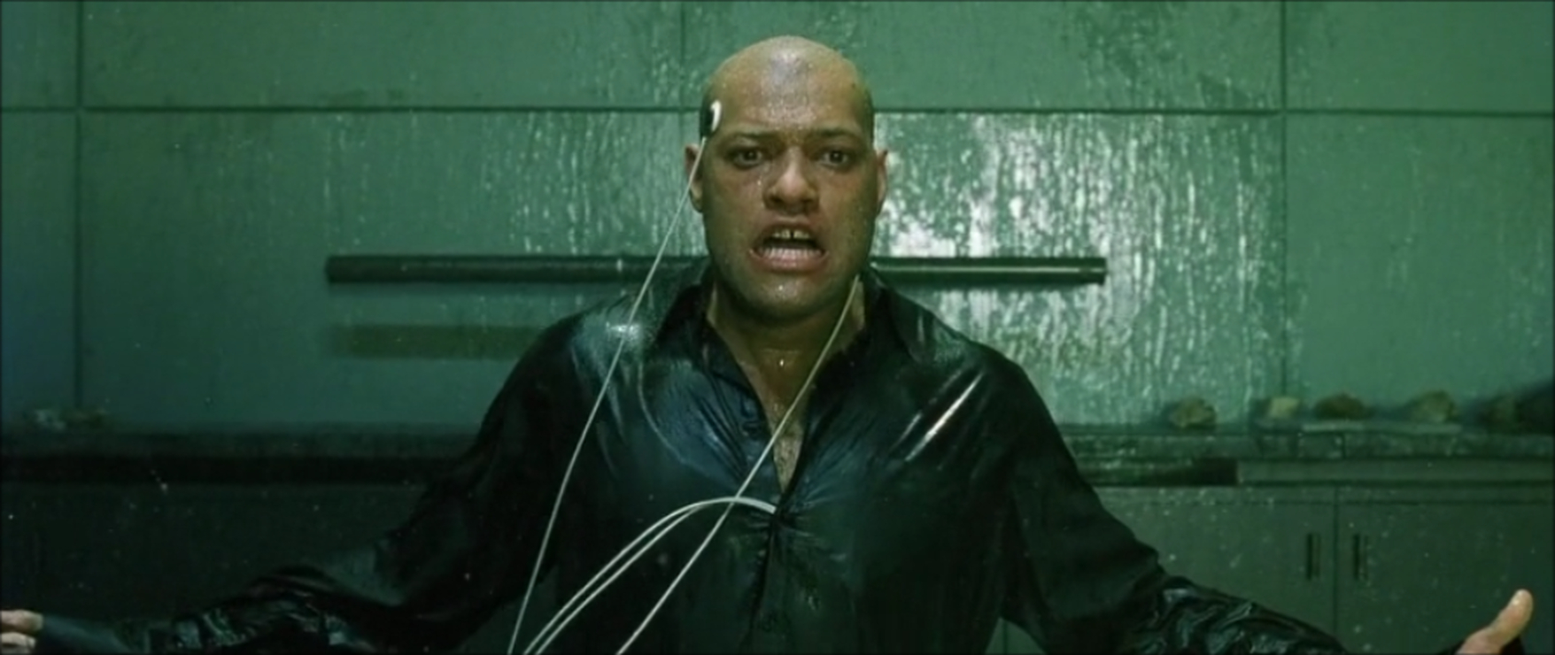 Picture of The Matrix