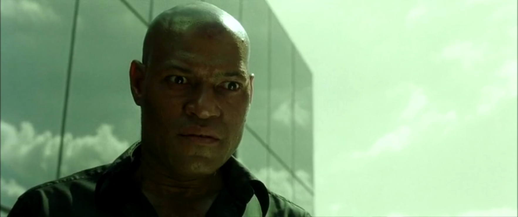 Picture of The Matrix