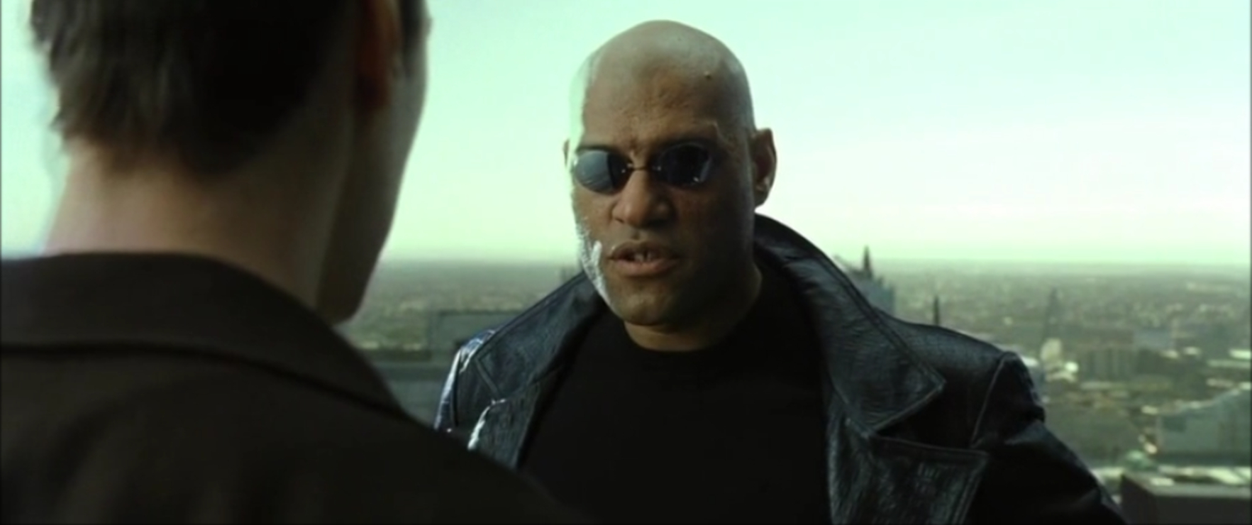 Picture of The Matrix