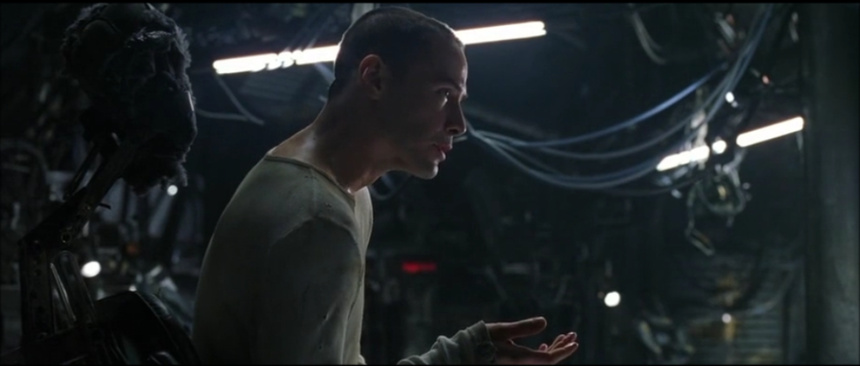 Picture of The Matrix