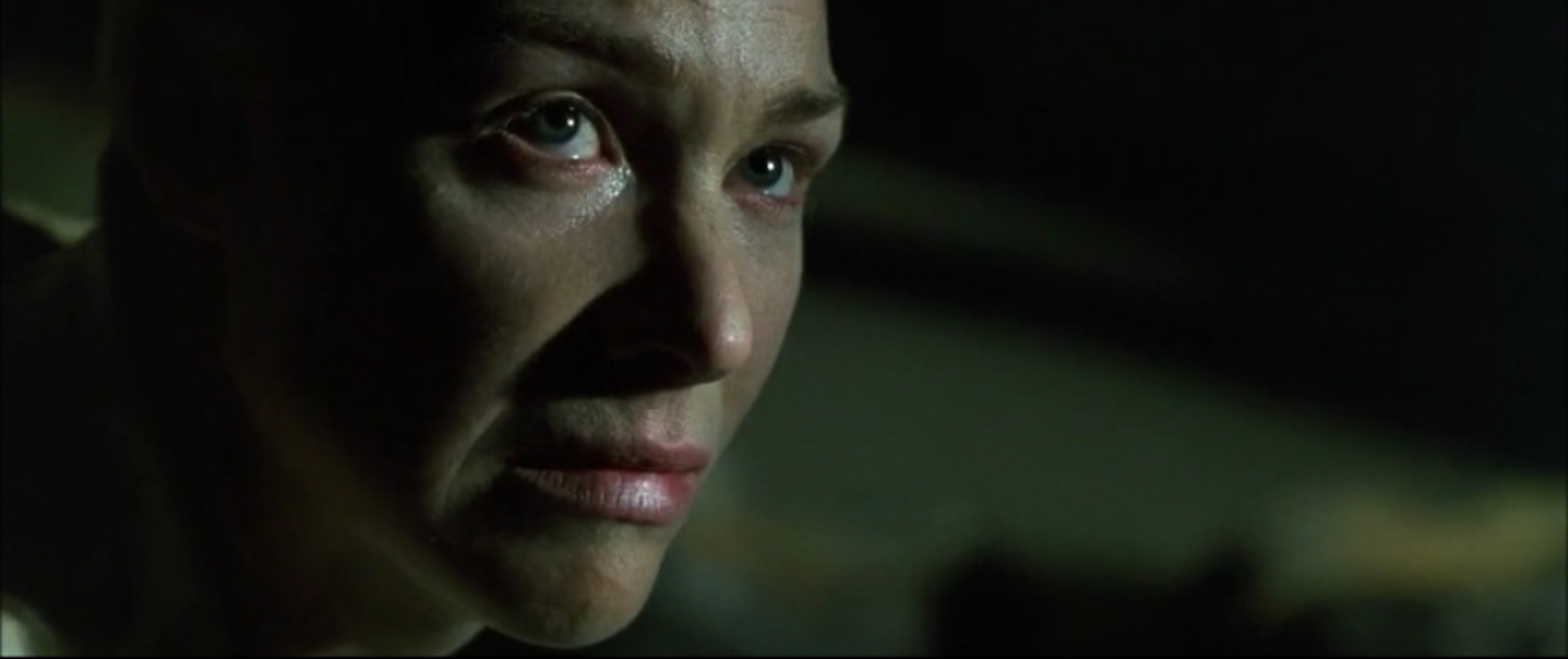 Picture of The Matrix