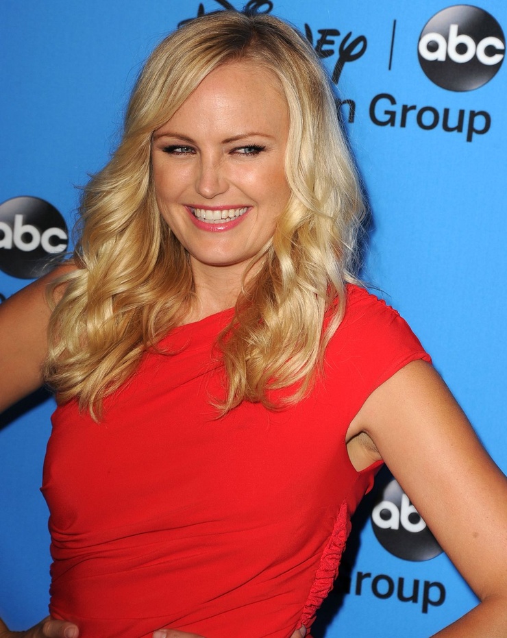 Picture of Malin Akerman