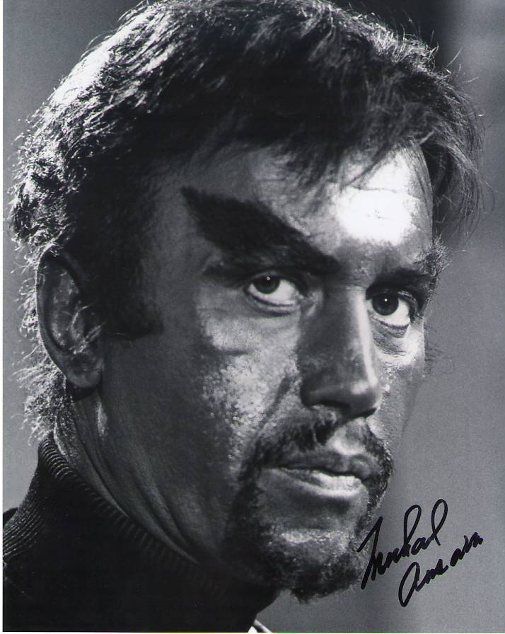 Picture of Michael Ansara