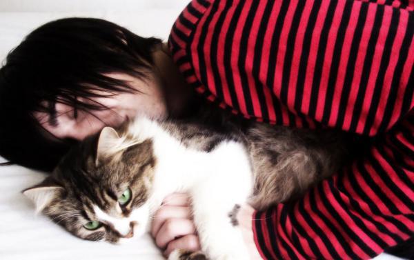 Picture of Howie Day