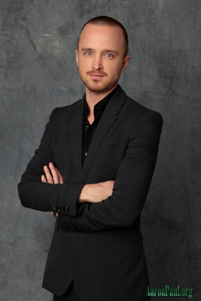 Picture of Aaron Paul