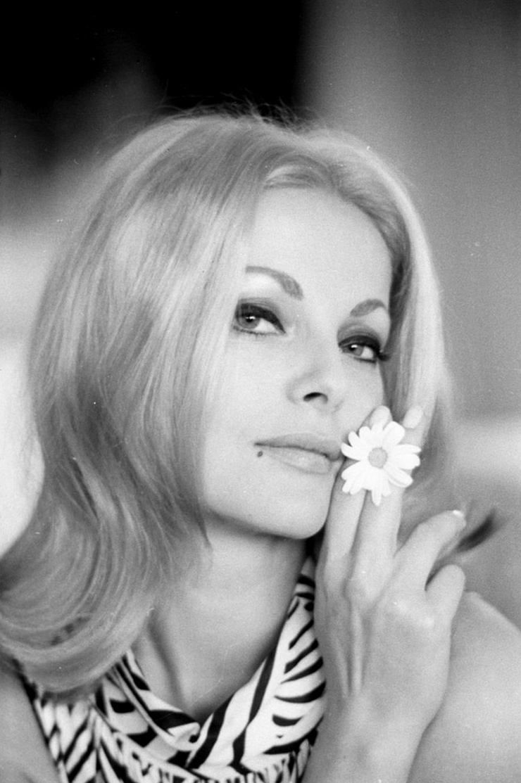 Picture of Virna Lisi