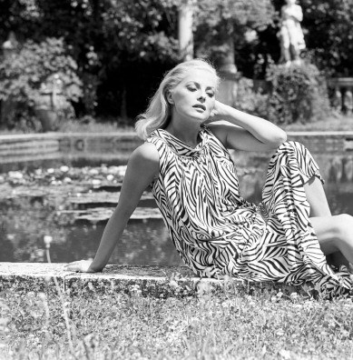Picture of Virna Lisi