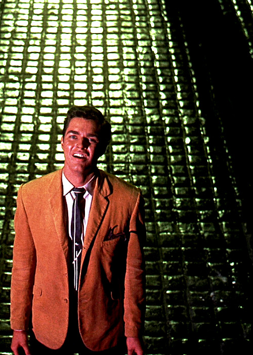 Richard Beymer picture