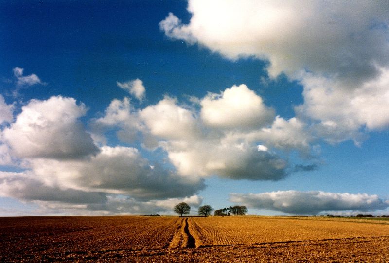 Picture of The 39 Steps (1978)