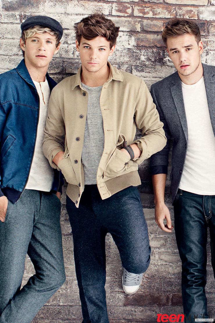 One Direction picture