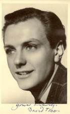 Picture of David Tree