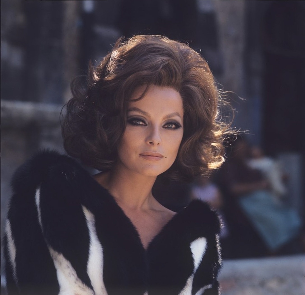 Virna Lisi picture