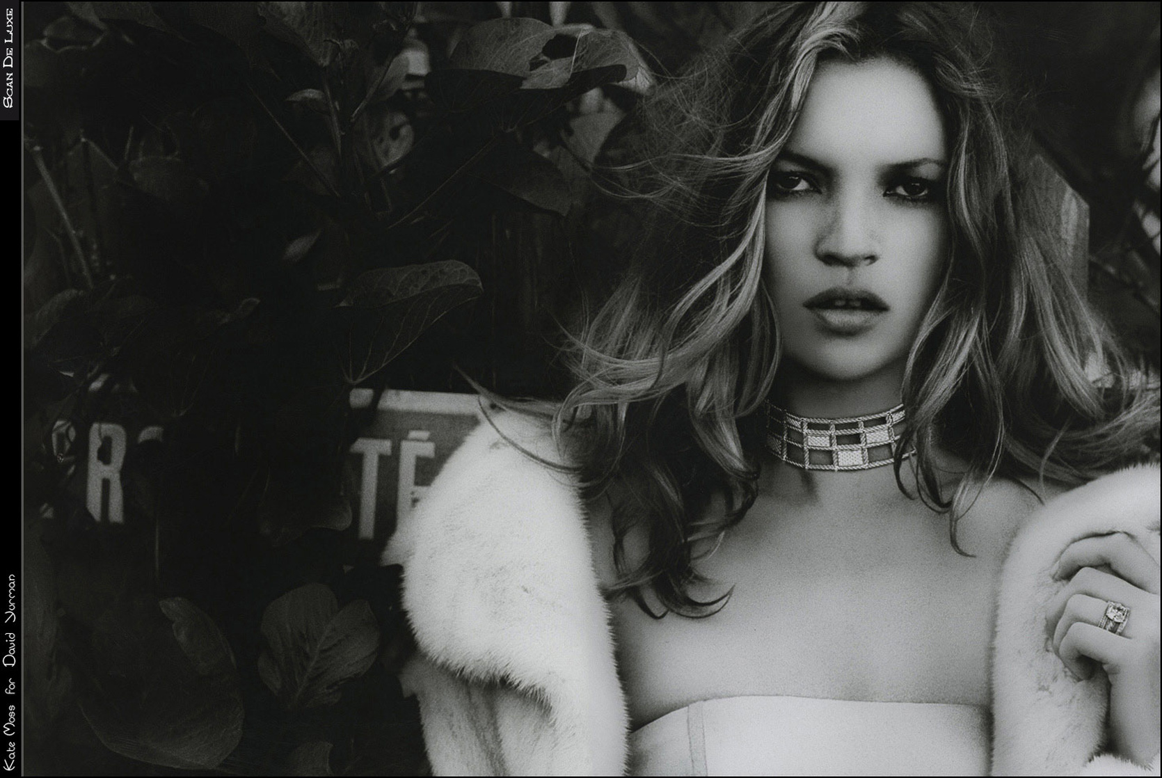 Picture of Kate Moss