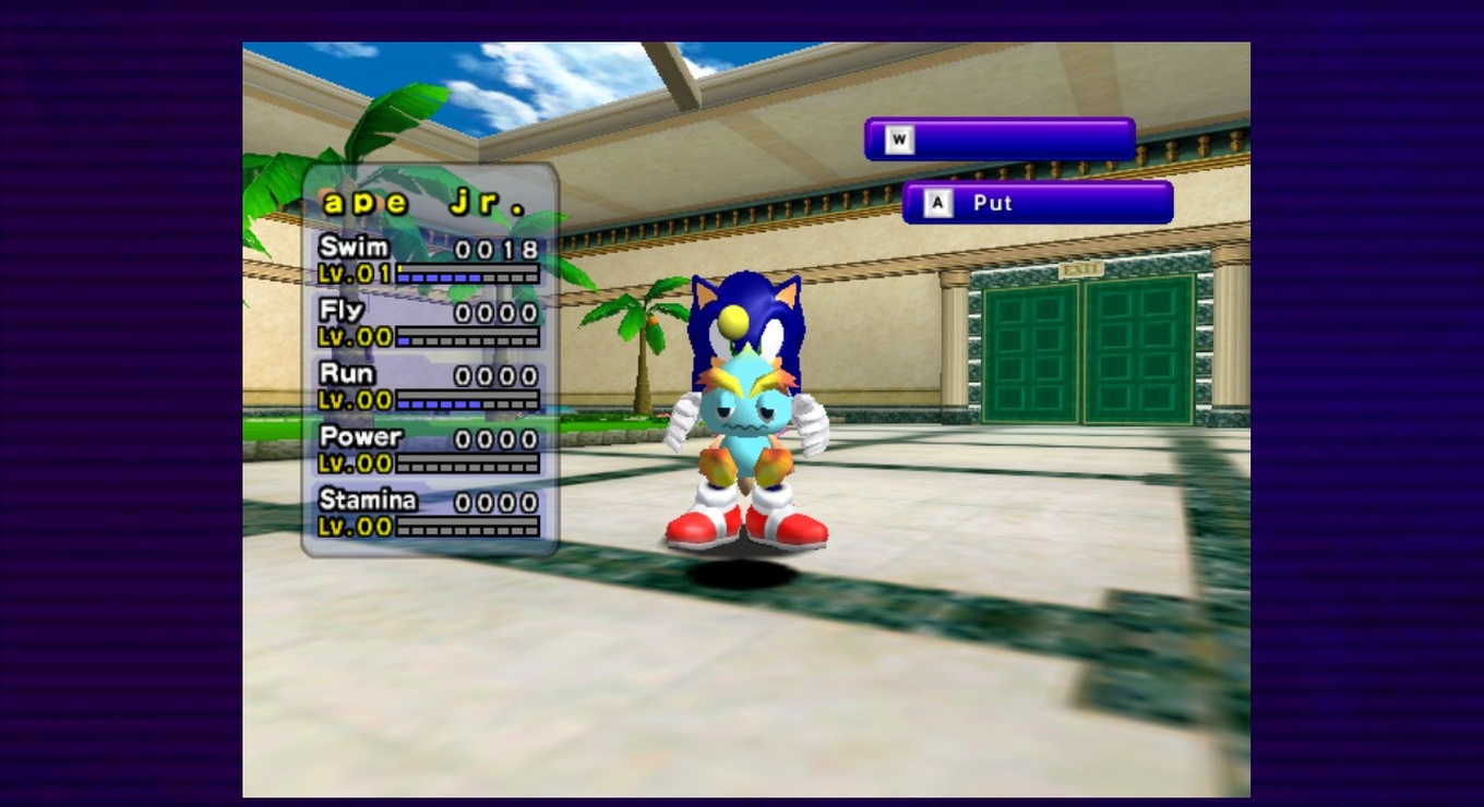 Picture of Sonic Adventure DX: Director's Cut